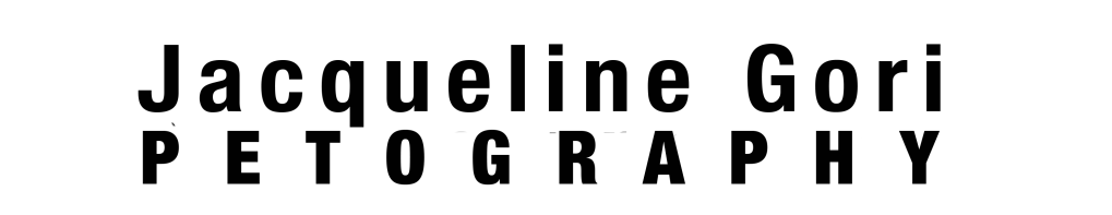 Home Book your experience Gallery